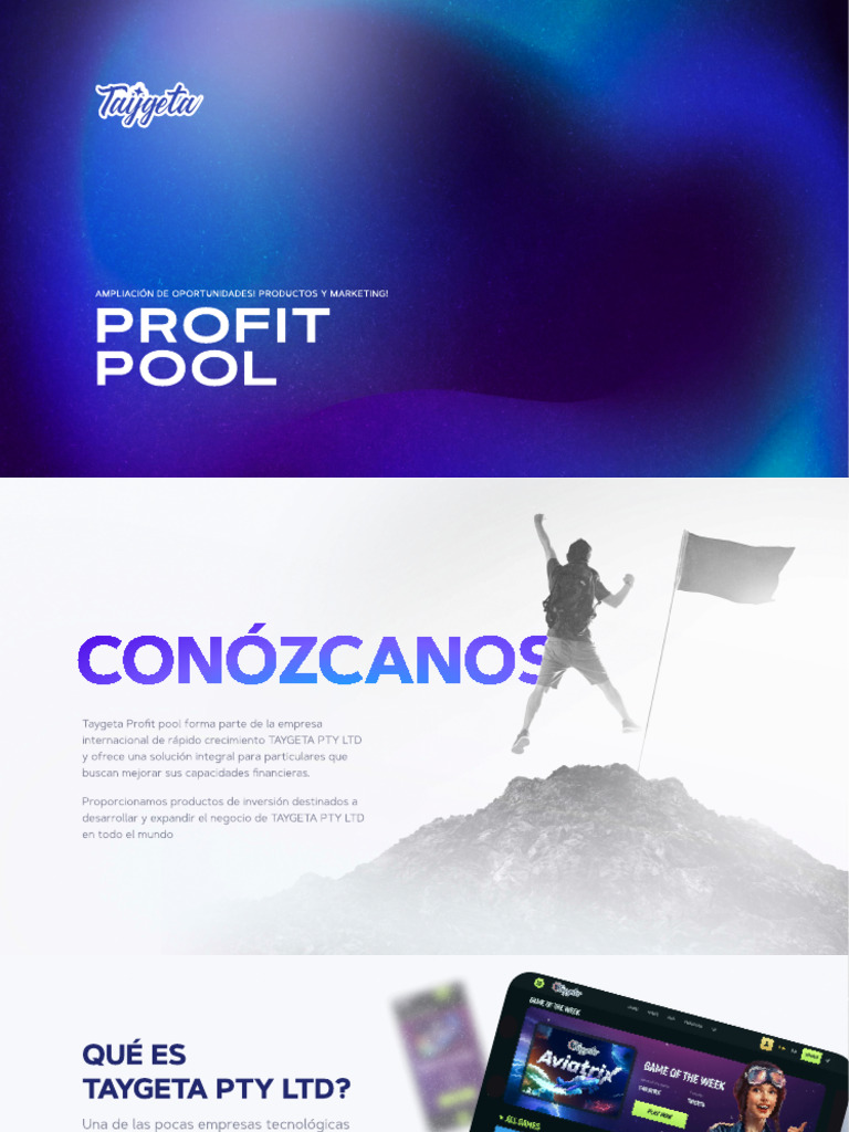 Profit Pool ESP | PDF