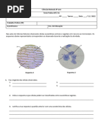 FT - Modelado Carsico | PDF | Geociências | Rochas