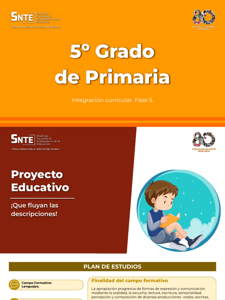 5to Grado de Primaria | PDF | Pensamiento | Plan de estudios