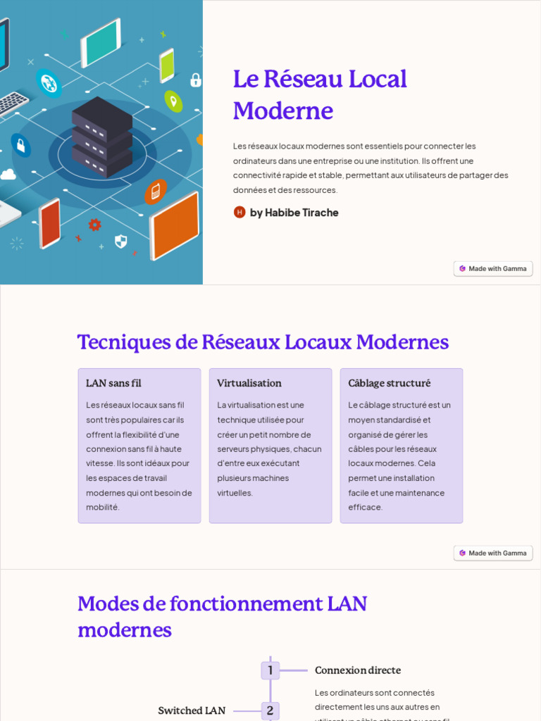 Le Reseau Local Moderne | PDF