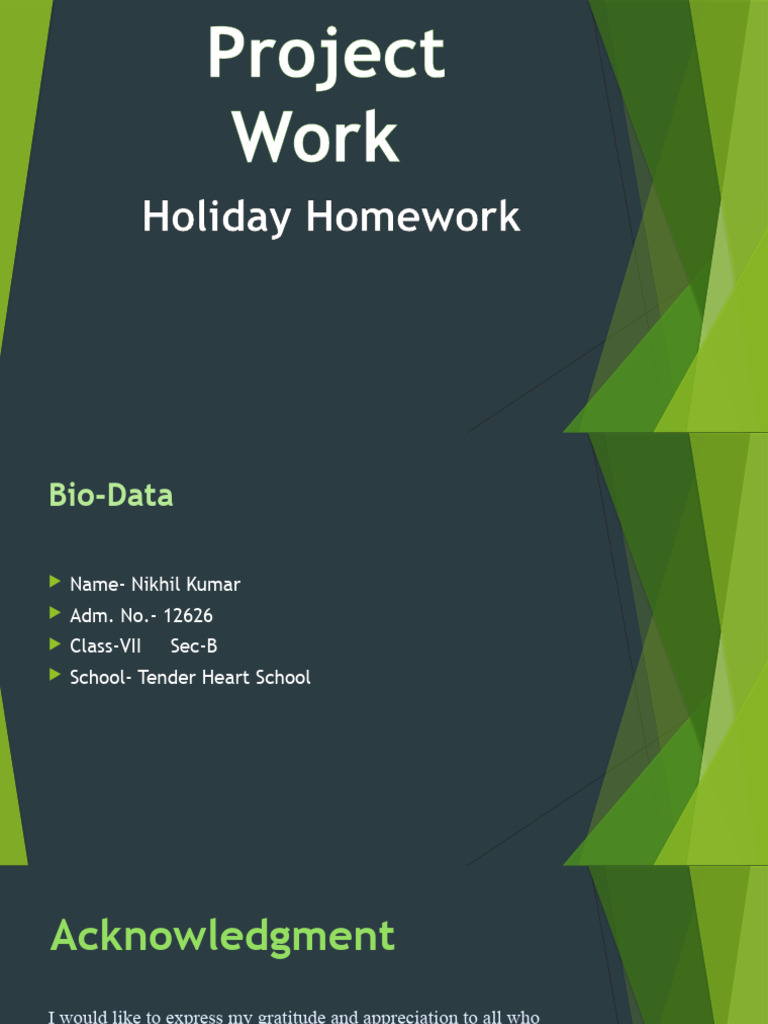 Computer Holiday Homework | PDF