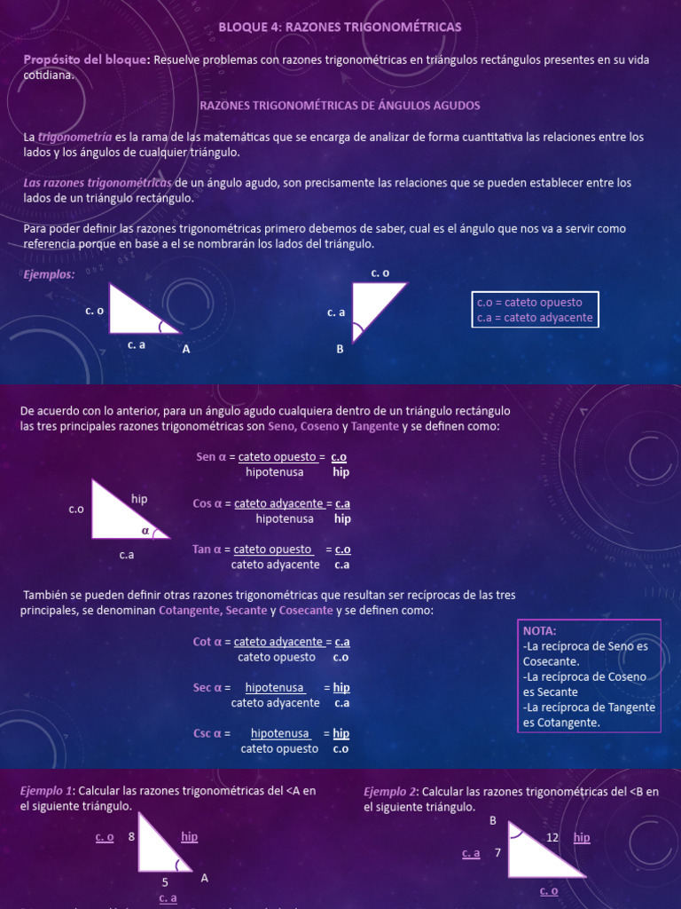 Razones Trigonométricas | PDF