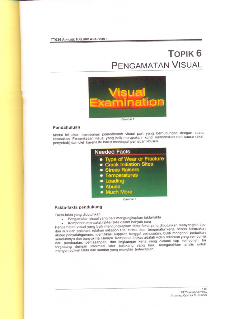 Topik 6 Pengamatan Visual | PDF