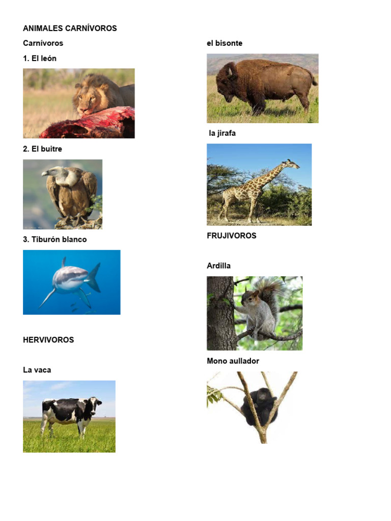 Animales Carnívoros Imagenes D | PDF