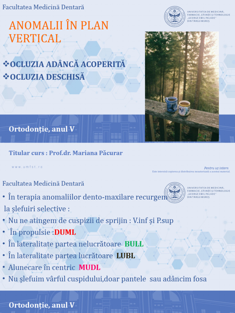 Anomalii Verticale | PDF