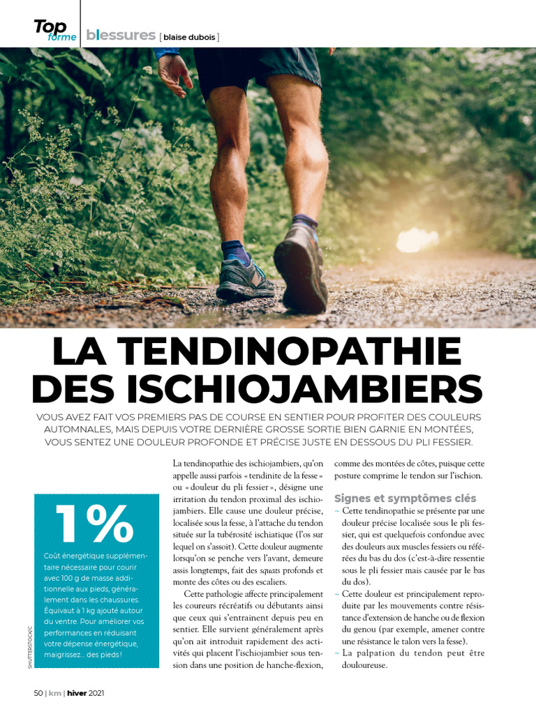 Tendinopathie Ischio Jambier | PDF