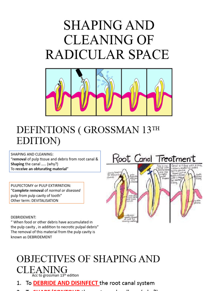 Shaping and Cleaning Radicular Space | PDF