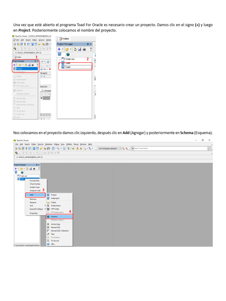 Manual Toad Para Importar Desde Excel | PDF