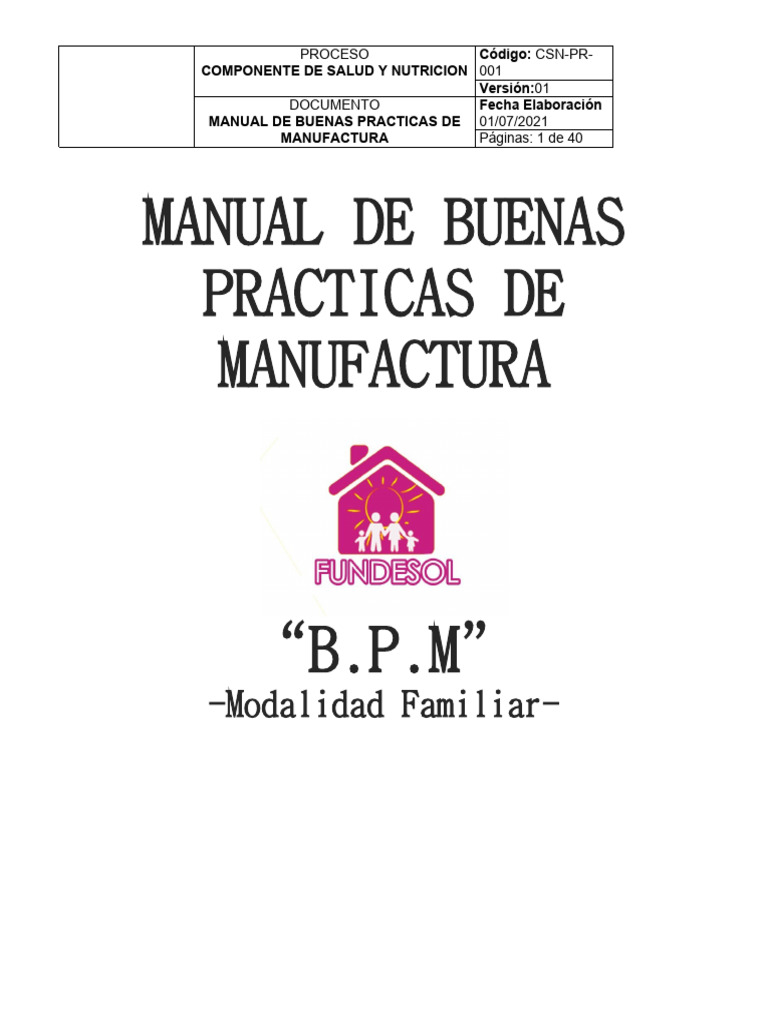 Manual de BPM Fundesol | PDF