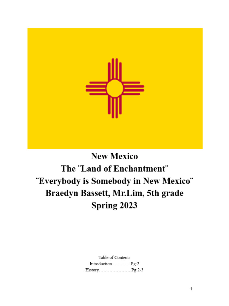 New Mexico State Report | PDF