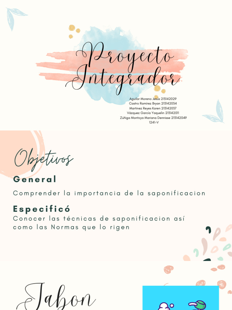 Proyecto Integrador | PDF