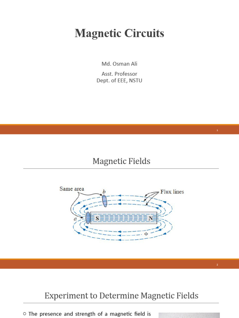 Magnetism PHY 1101 | PDF | Ferromagnetism | Magnetic Field