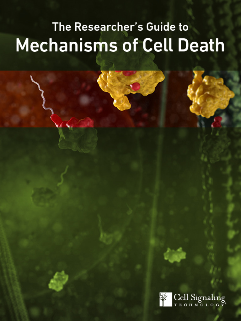 Https - Learn - Cellsignal.com - Hubfs - Pdfs - 20 Cep 38860 Brochure Lit Cell Death Ebook ...