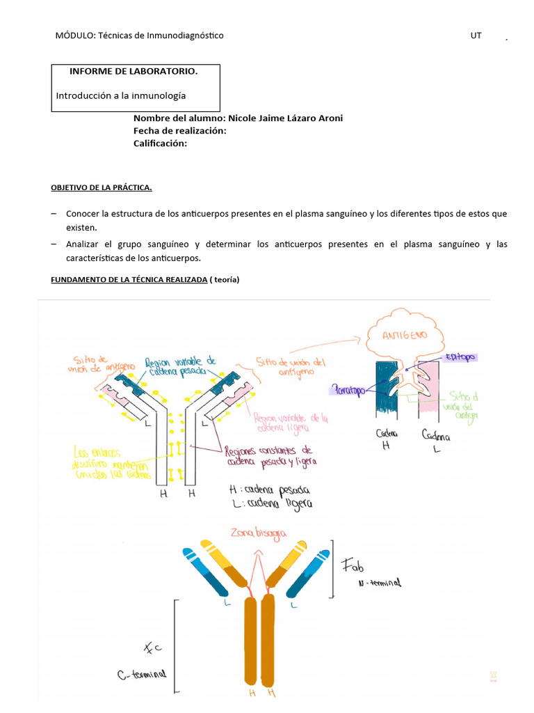 Informe Inmuno | PDF