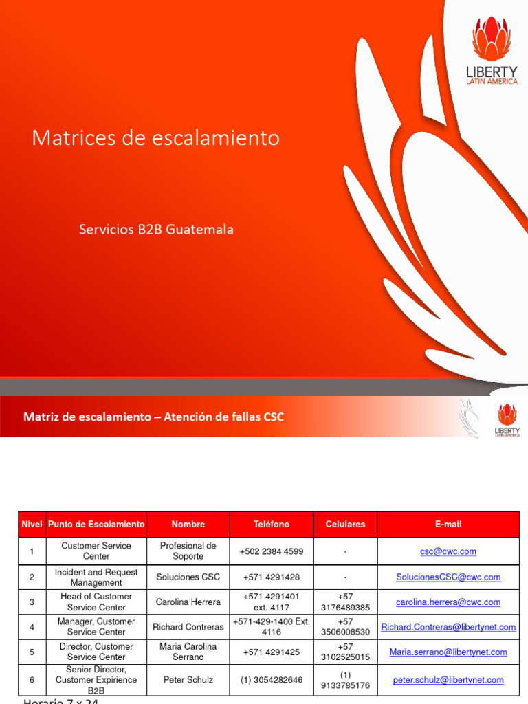 Matriz de Escalamiento | PDF