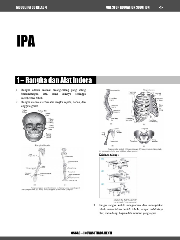 1 - Rangka Dan Alat Indera: Oscas - Inovasi Tiada Henti | PDF