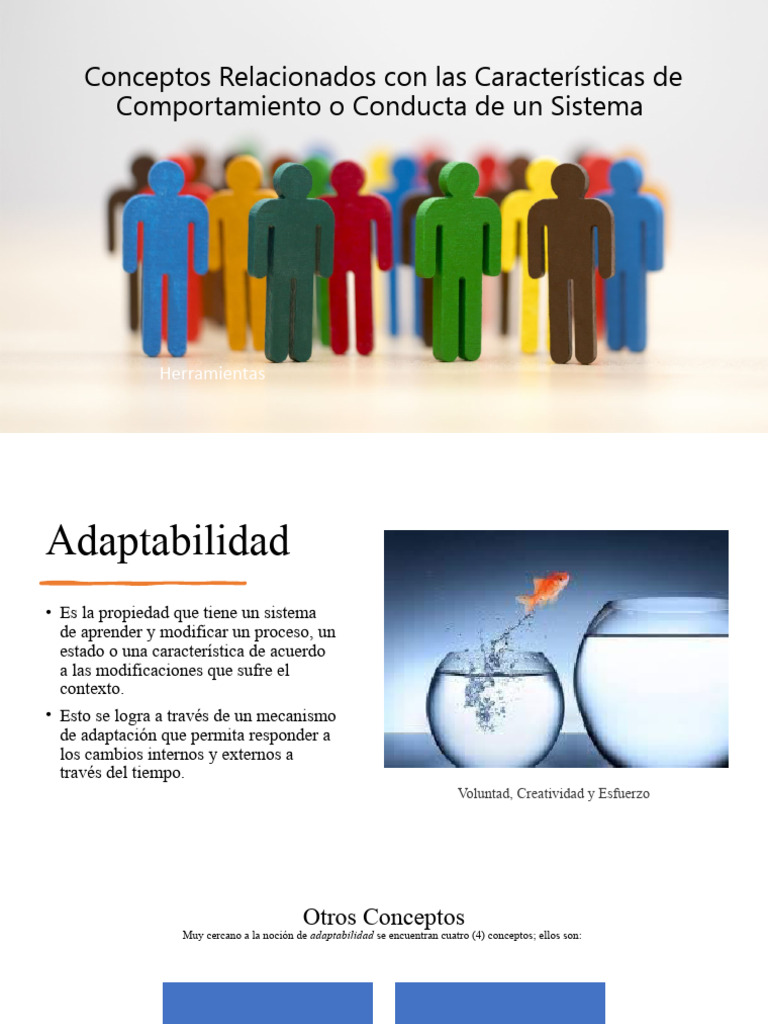Conceptos | PDF