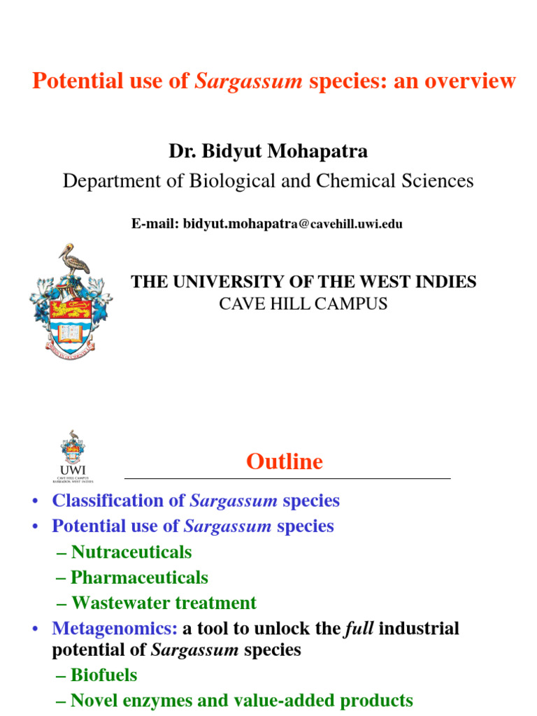 B-Mohapatra Presentation Potential Use of Sargassum-2 | PDF