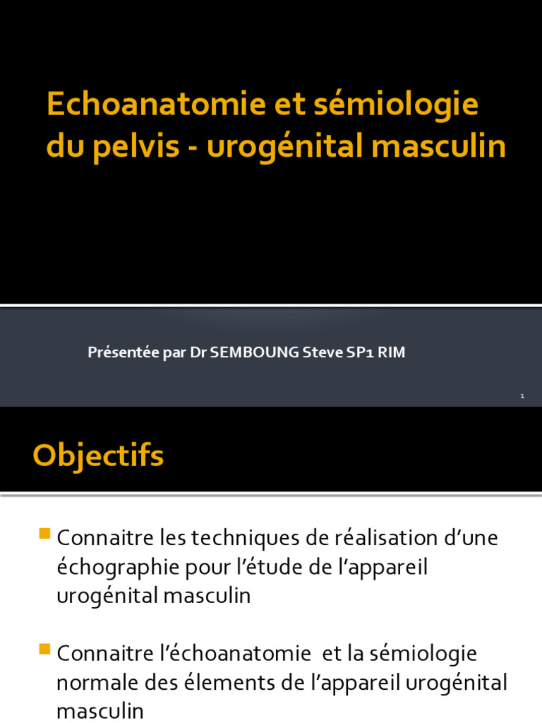 Echo Pelvis Masculin 2 | PDF | Prostate | Morphologie (Biologie)
