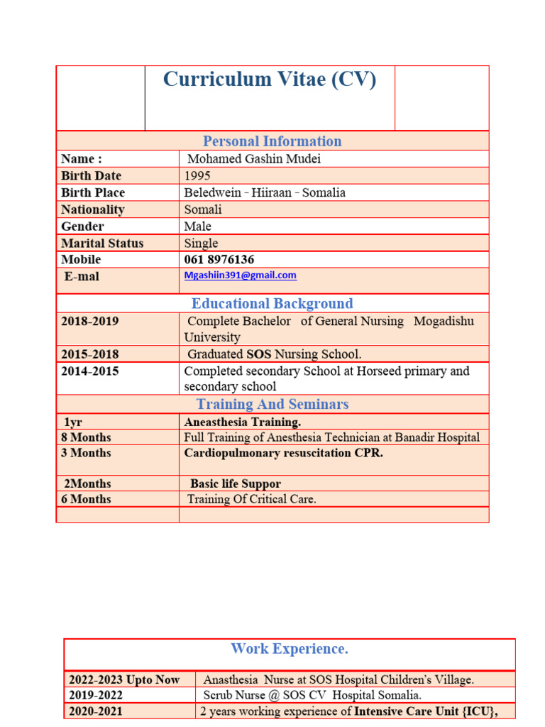 Update Currivulum Vitae.1 CV | PDF