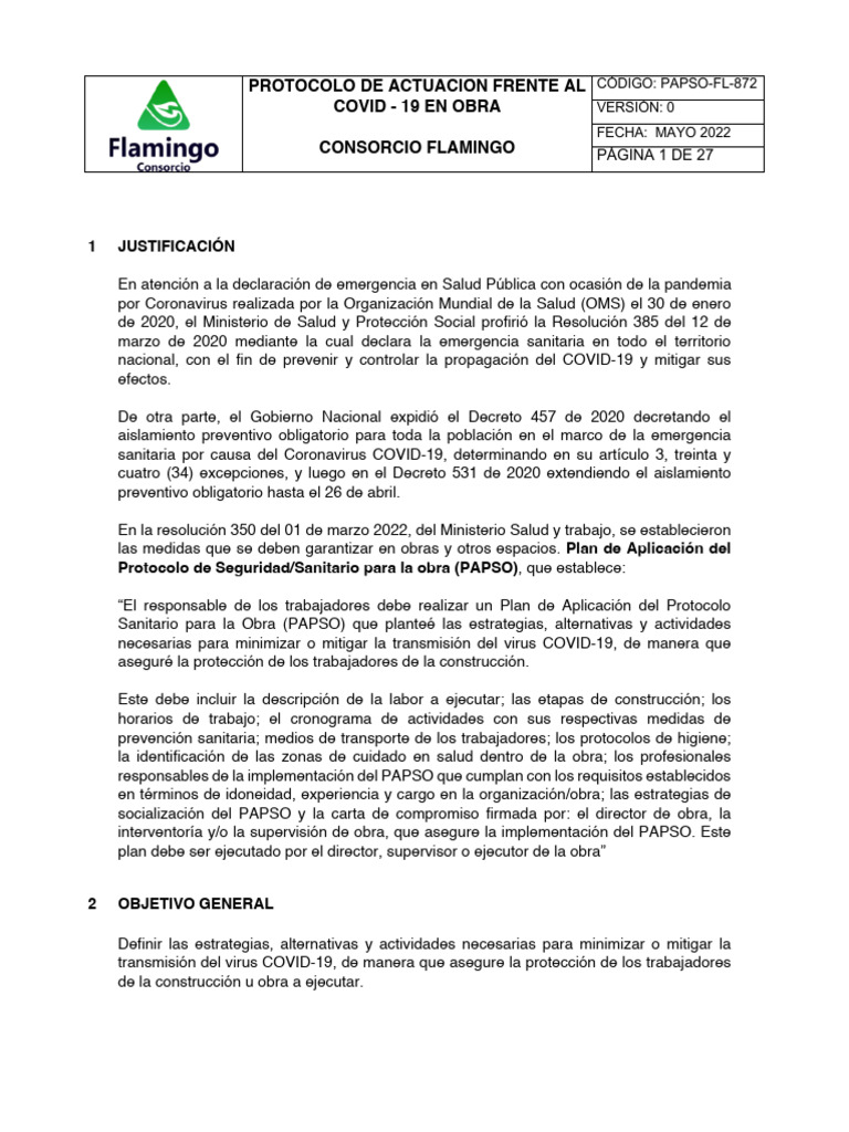 PAPSO Flamingo | PDF | Lavado de manos