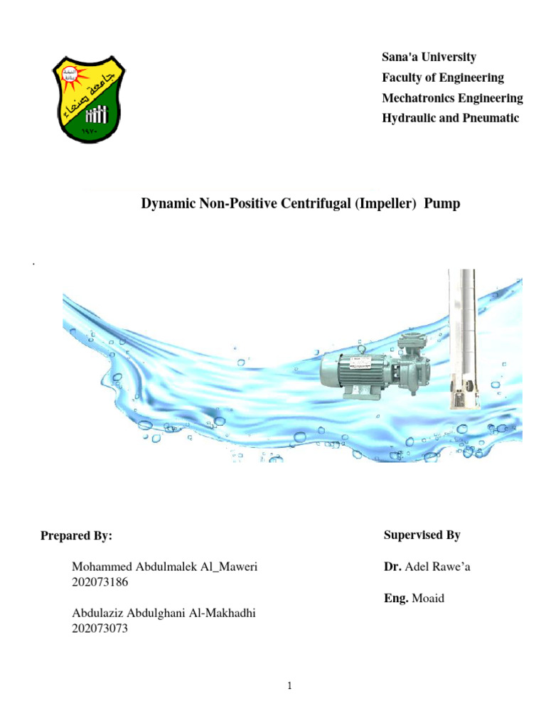 Pump Centrifugal Project ... | PDF | Pump | Flow Measurement
