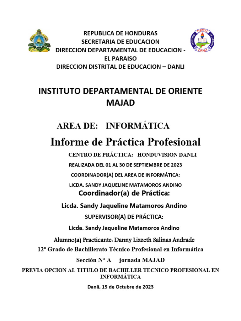 Informe de Practica Danny Salinas | PDF