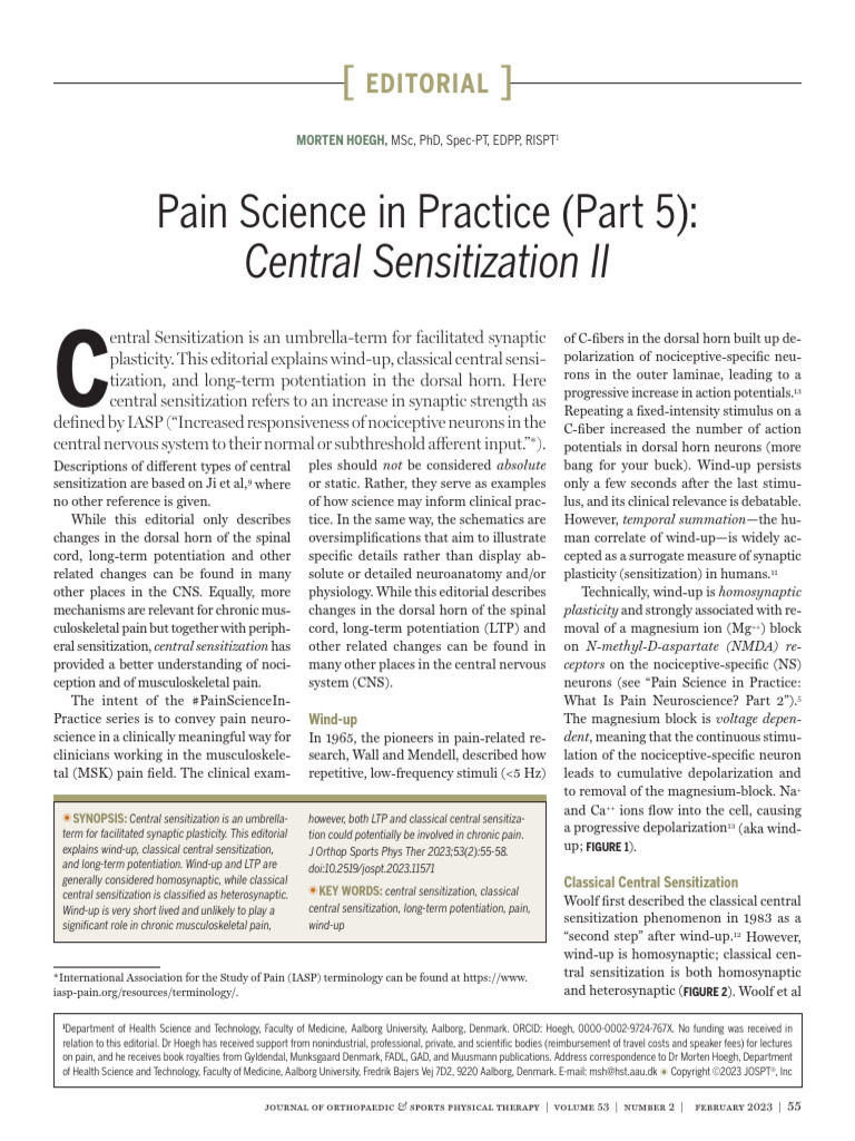 Central Sensitization 2 | PDF | Nervous System | Synaptic Plasticity