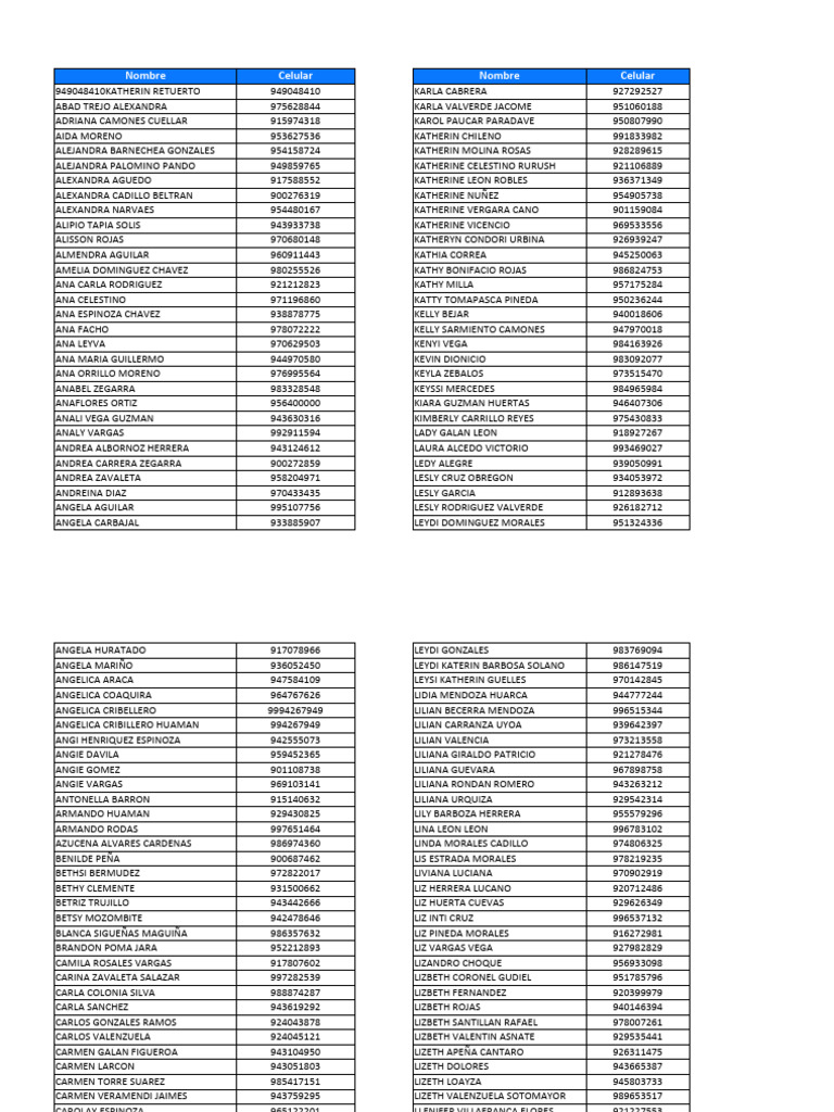 Lista de Numeros de Los Clientes | PDF