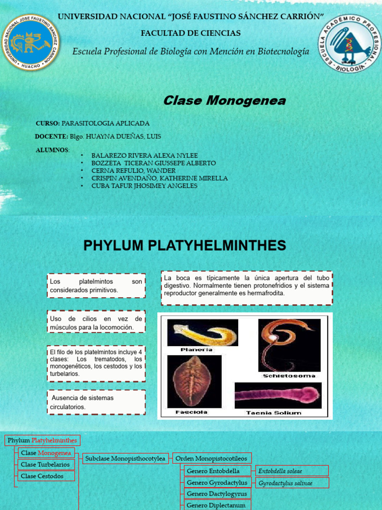 Monogenea: Morfología y Ciclo de Vida | PDF