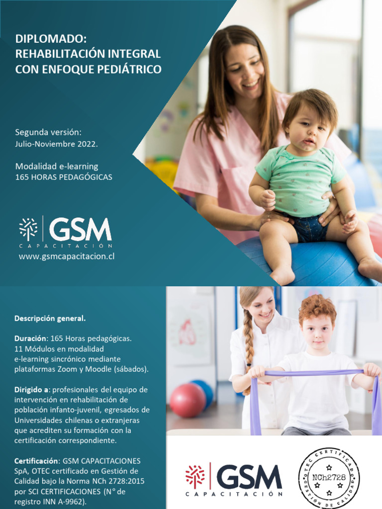 Programa Diplomado RIEP 02 | PDF