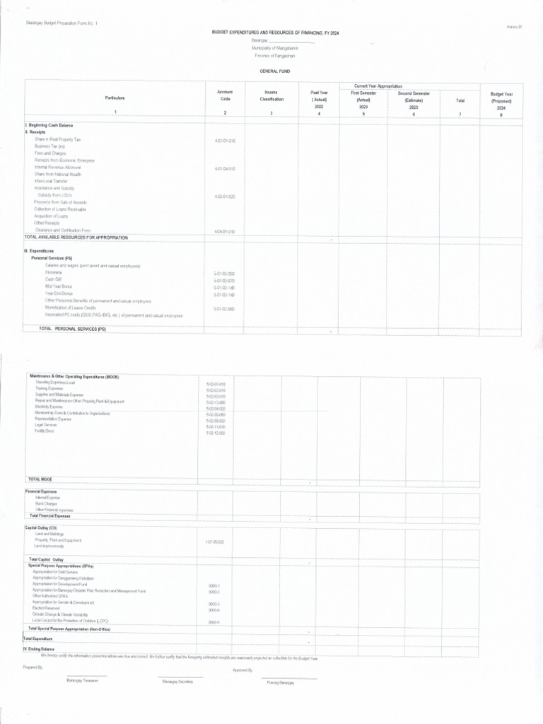 Barangay Budget Preparation Form | PDF