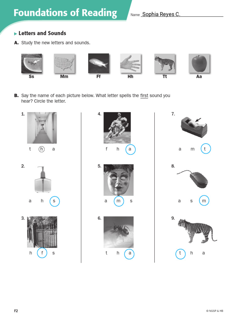 Foundations of Reading: Letters and Sounds | PDF