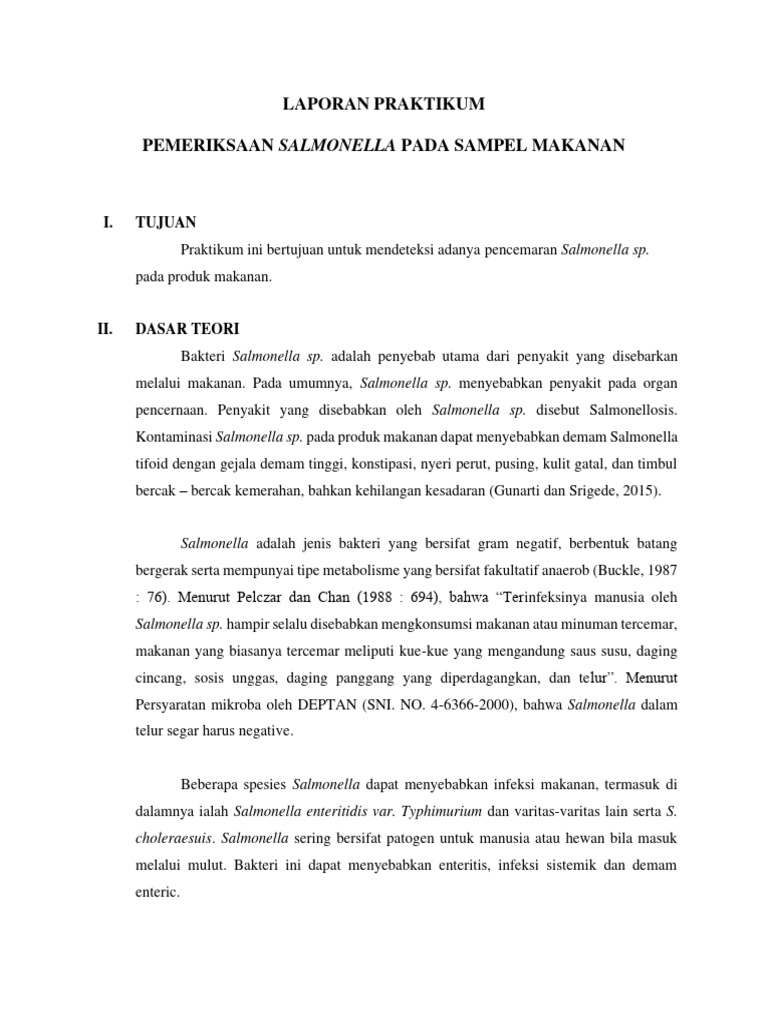 Pemeriksaan Salmonella Pada Sampel Makanan | PDF