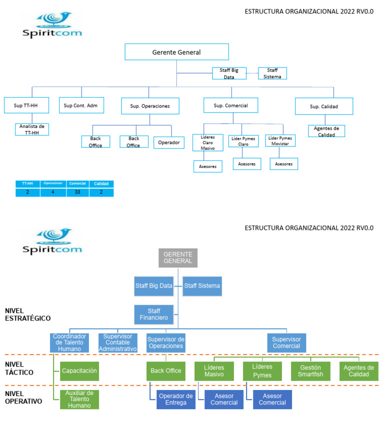 Organigrama Spirit | PDF | Business | Economias