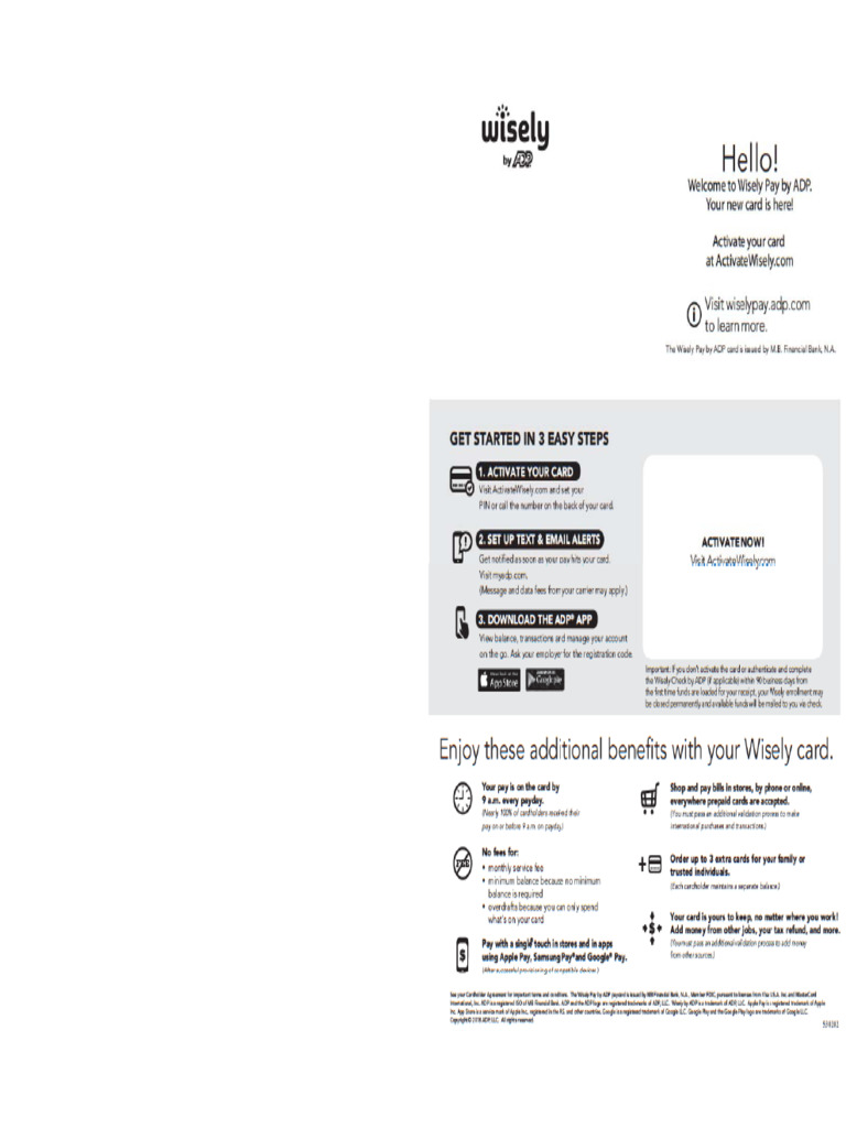 Sample Wisely Card Information | PDF