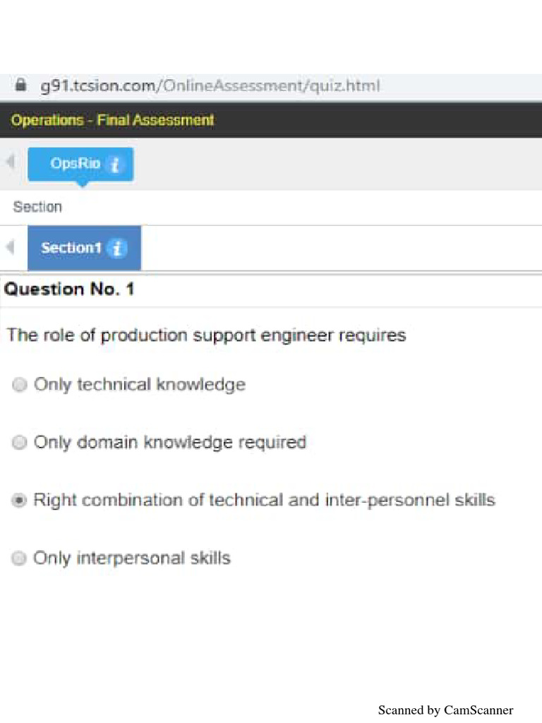 TCS RIO Assessment Answers Guide | PDF