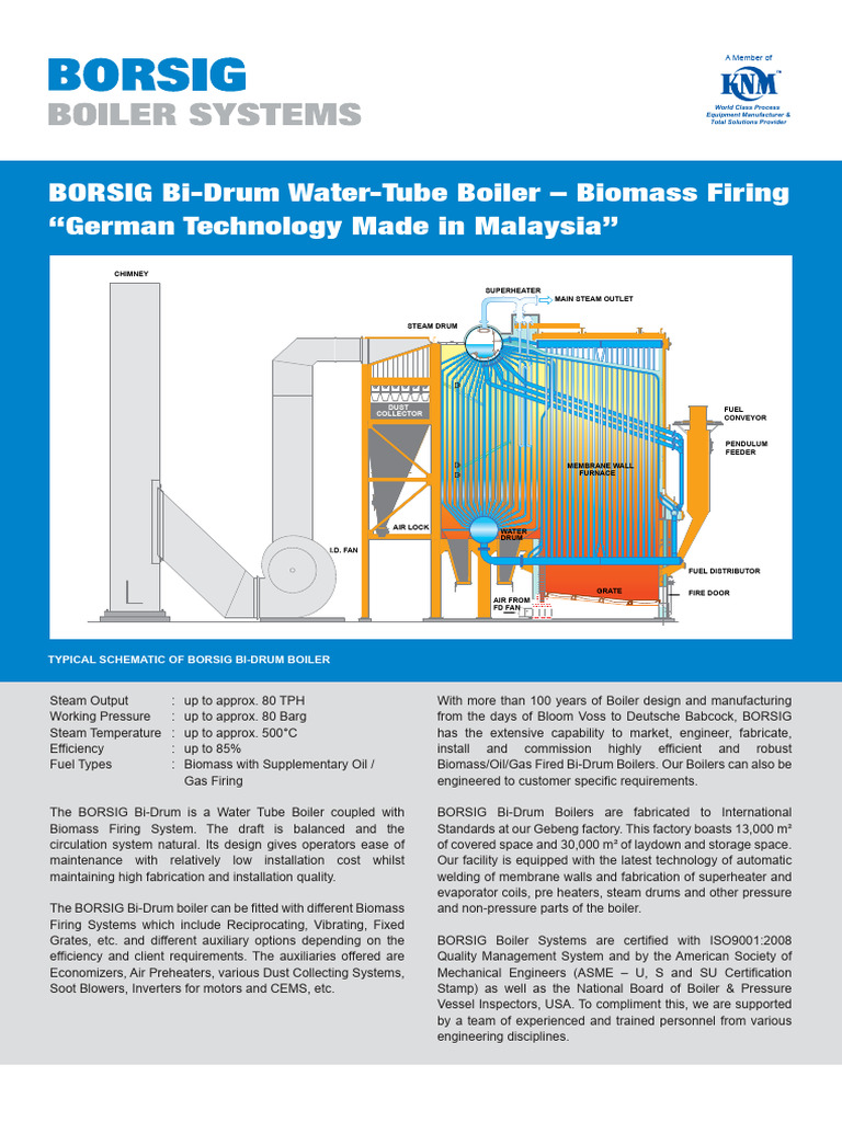 BORSIG Boiler Leaflet - Rev2.0 | PDF