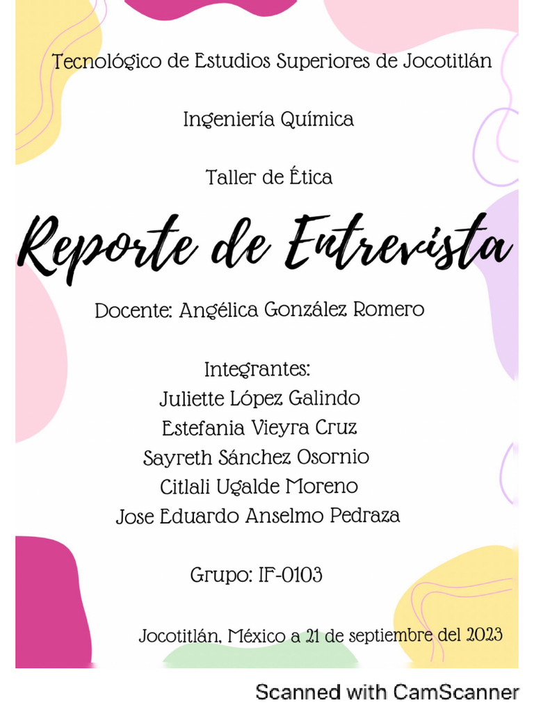 Reporte De Entrevista Pdf