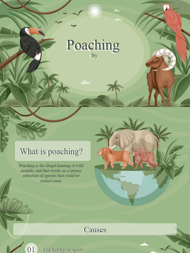 Poaching | PDF