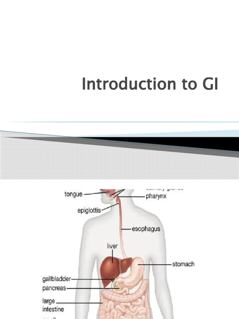 Physiology of GI | PDF