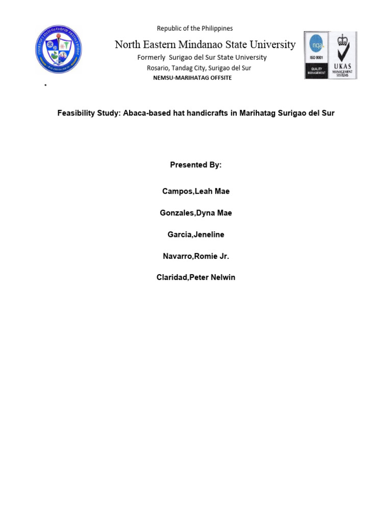 Abaca Questionnaire | PDF