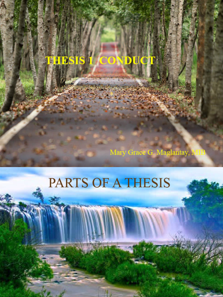 Parts of a thesis | PDF