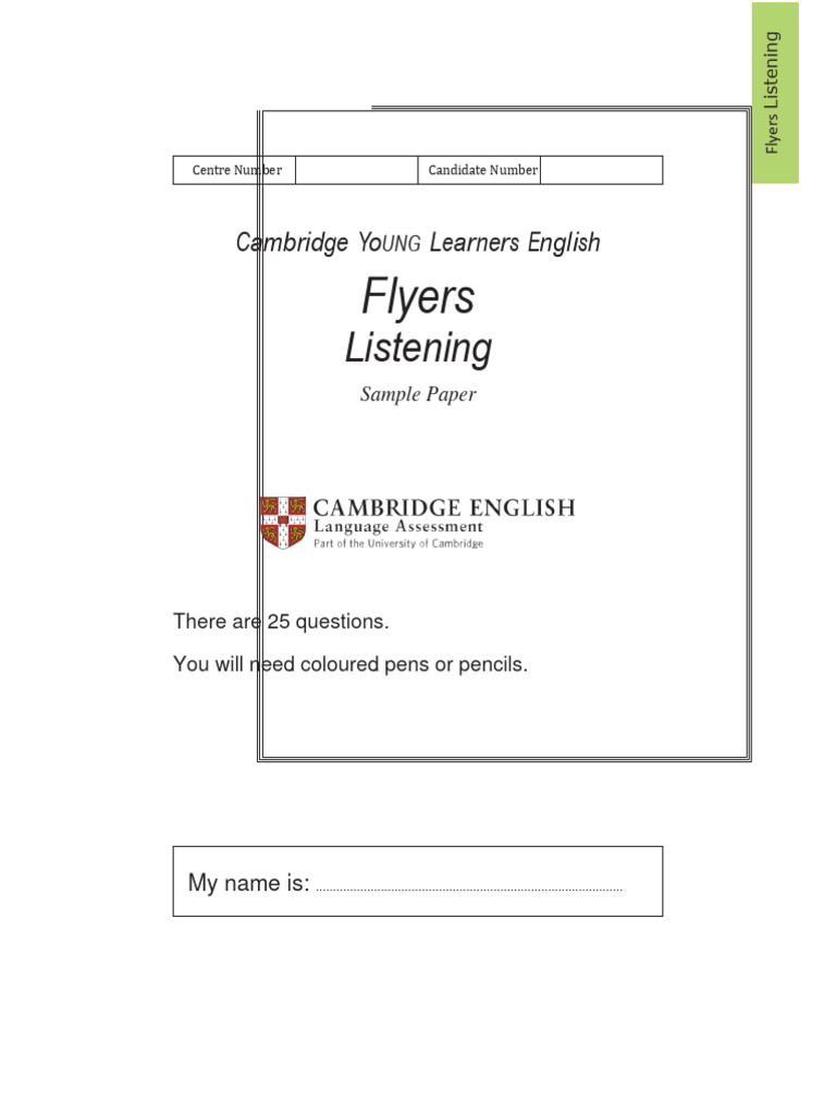 Flyers Test | PDF