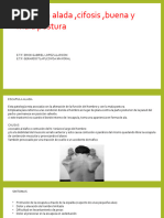 PIMSS 4T - 1T. Programa Institucional Del IMSS 2020-2024 | PDF ...