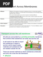 Diffusion Phet Simulation Sheet | PDF | Cell Membrane | Cell Biology