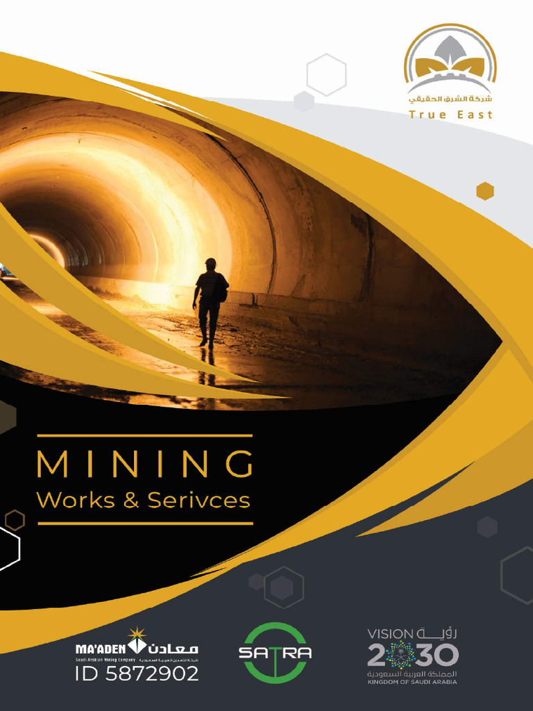 True East Mining Company Profile | PDF