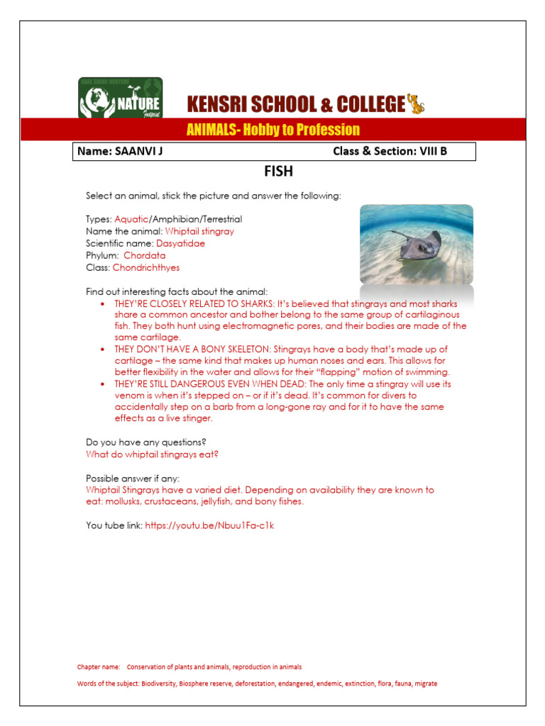 Fish Application Sheet - Whiptail Stingray | PDF