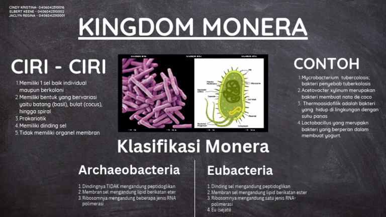 Kingdom Monera (Kelompok 5) | PDF