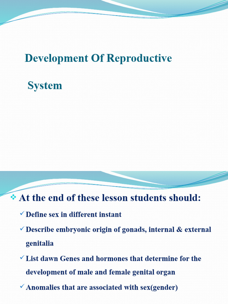 Development of Reproductive System | PDF